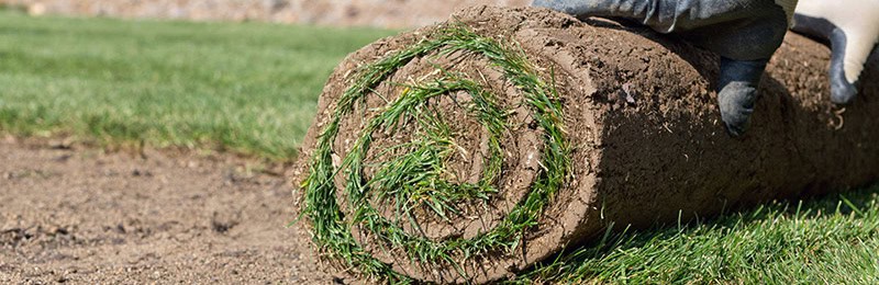Lawn Installation Perth | Turf, Turf Farm, Roll-on Lawn | Carabooda Lawn
