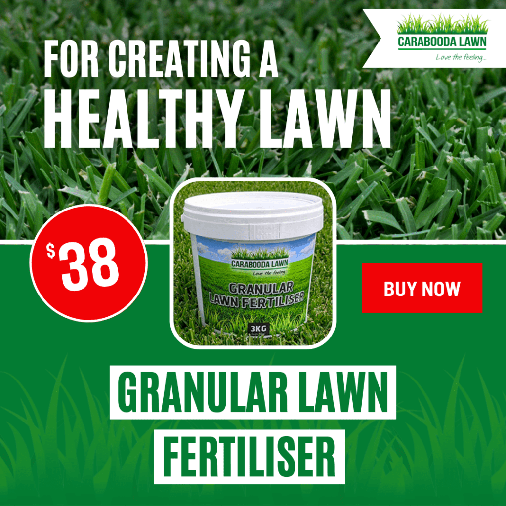 Granular Fertiliser | Turf, Turf Farm Perth | Carabooda Lawn